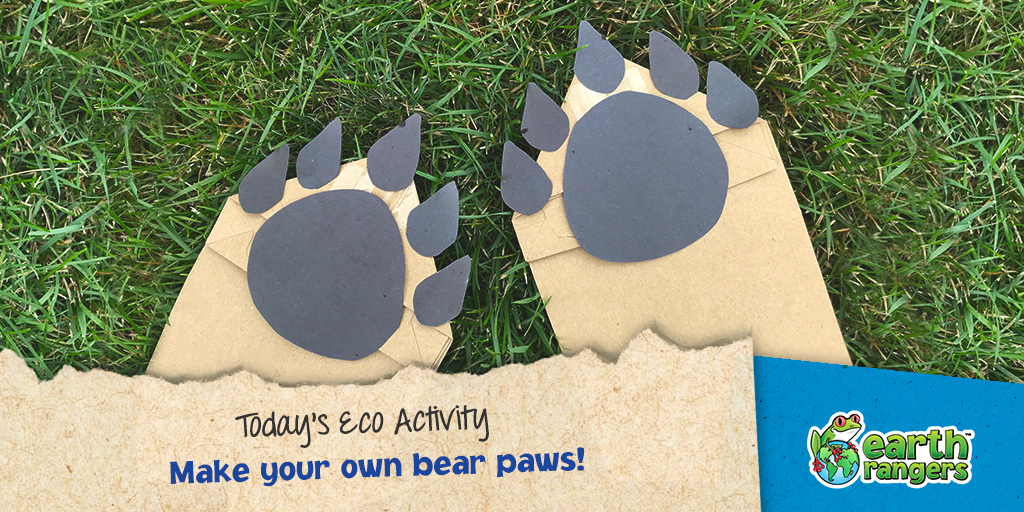 Eco-Activity: Make your own bear paws! - Earth Rangers