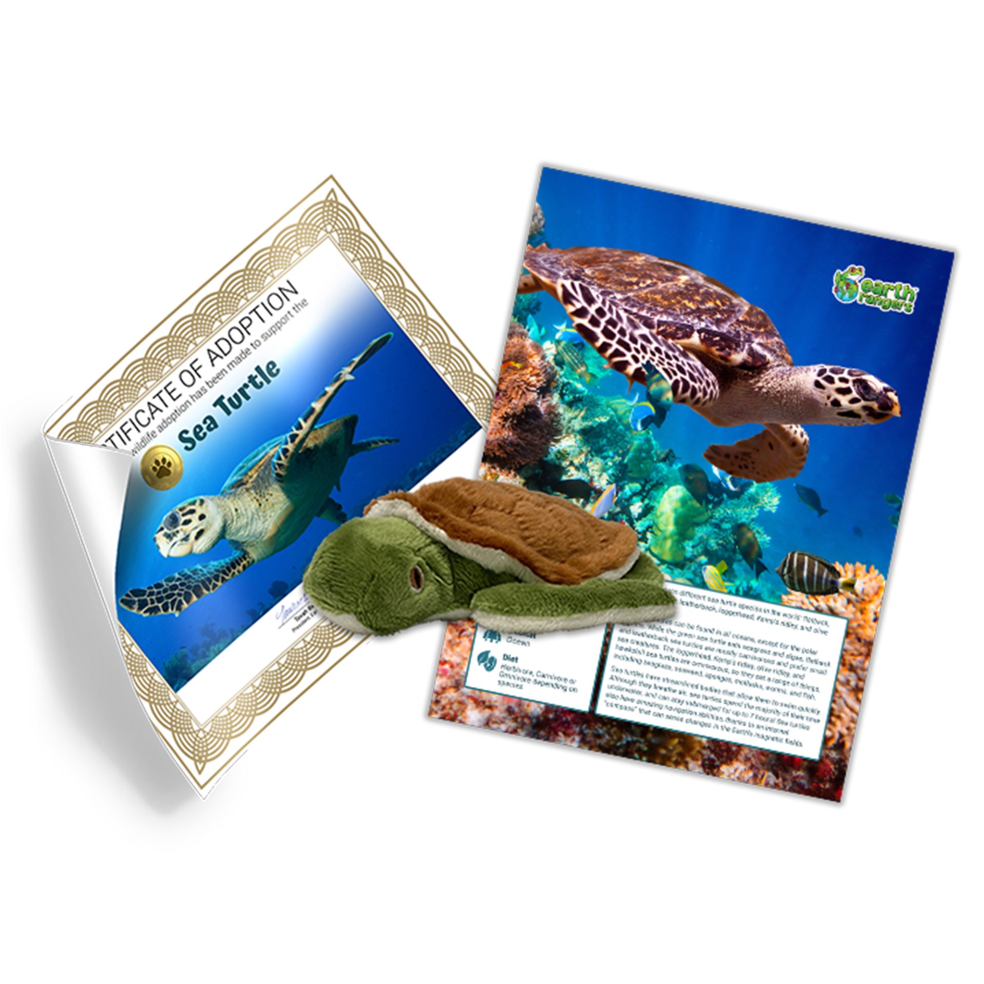 Sea turtle - Earth Rangers