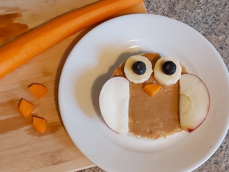 Rice Cake Owls - Earth Rangers