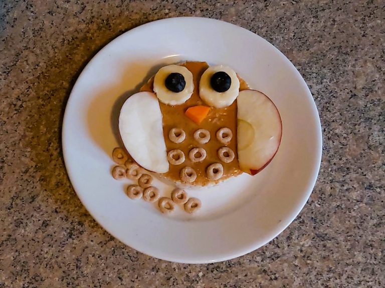 Rice Cake Owls - Earth Rangers