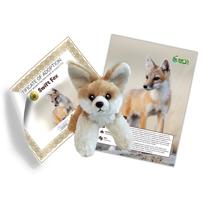 Calling All Swifties! Chasing the Swift Fox with Peter Soroye - Earth ...