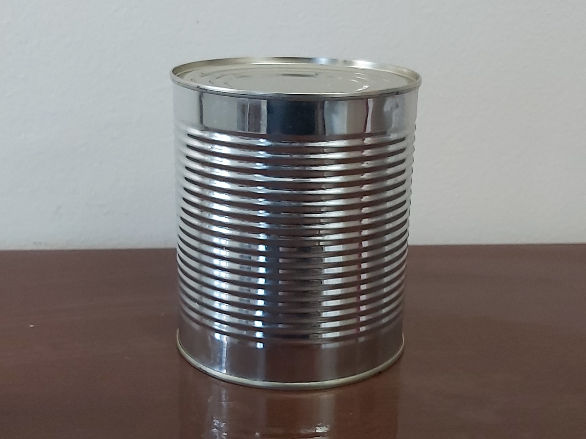 Tin Can Owl - Earth Rangers