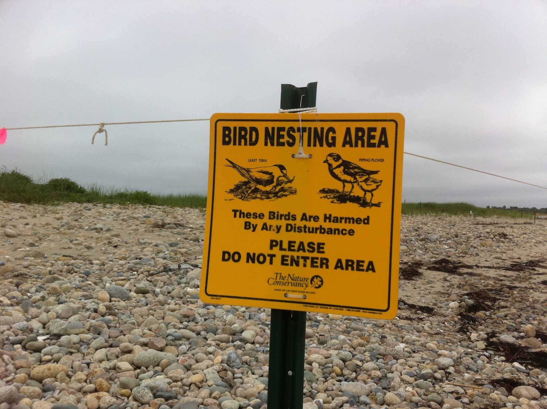 Top 8 Tips for Safe Wildlife Viewing - Earth Rangers