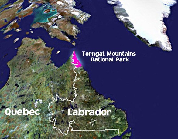 Protecting Caribou in Torngat Mountains National Park - Earth Rangers