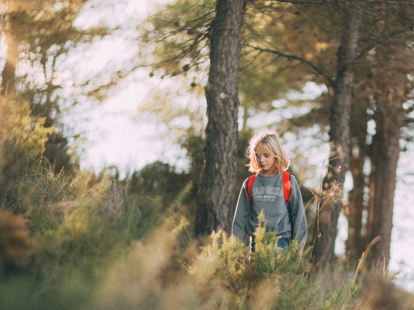 Tree Transfer Art - Earth Rangers