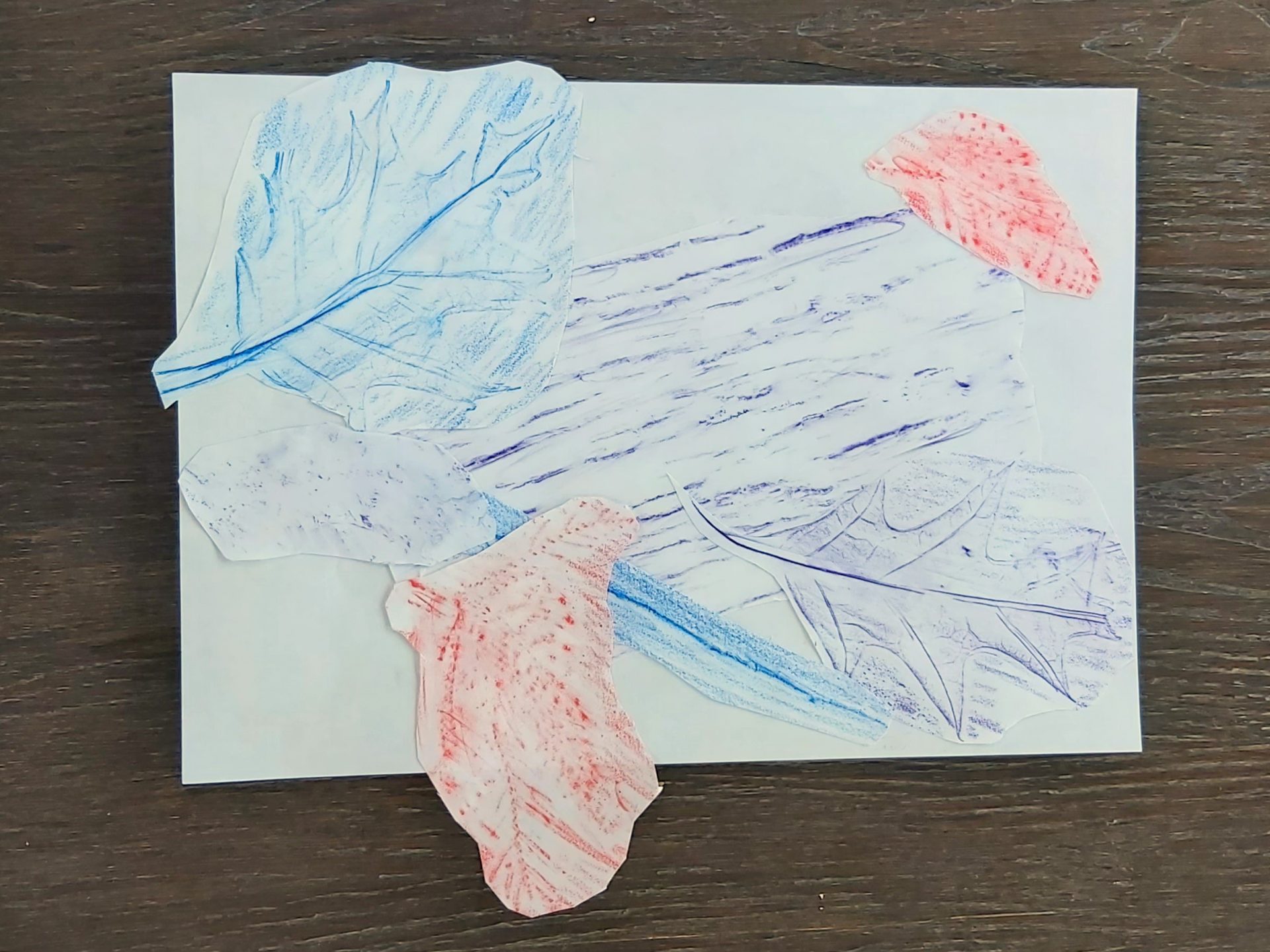 Tree Transfer Art - Earth Rangers