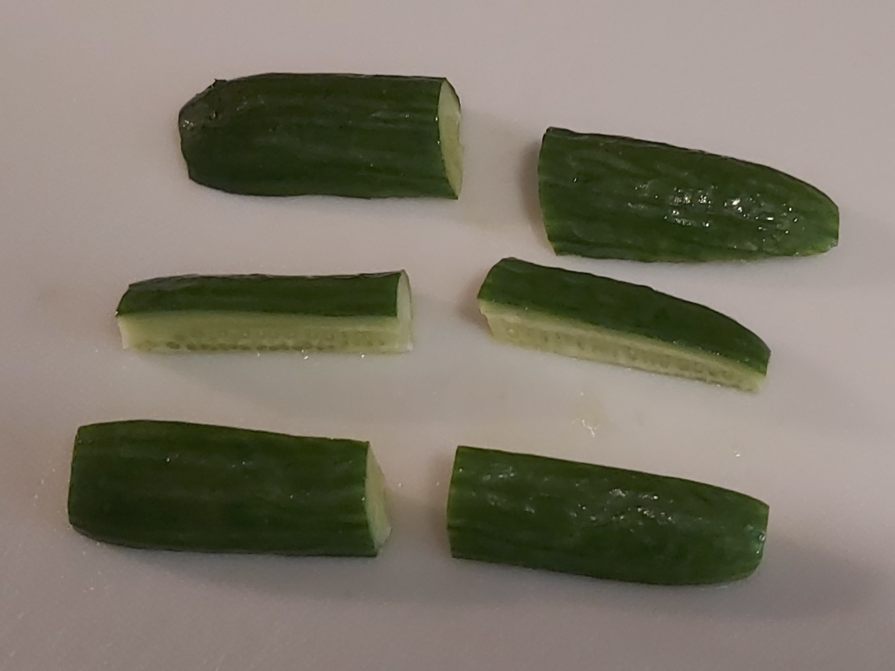 Turtle Sandwich - Earth Rangers