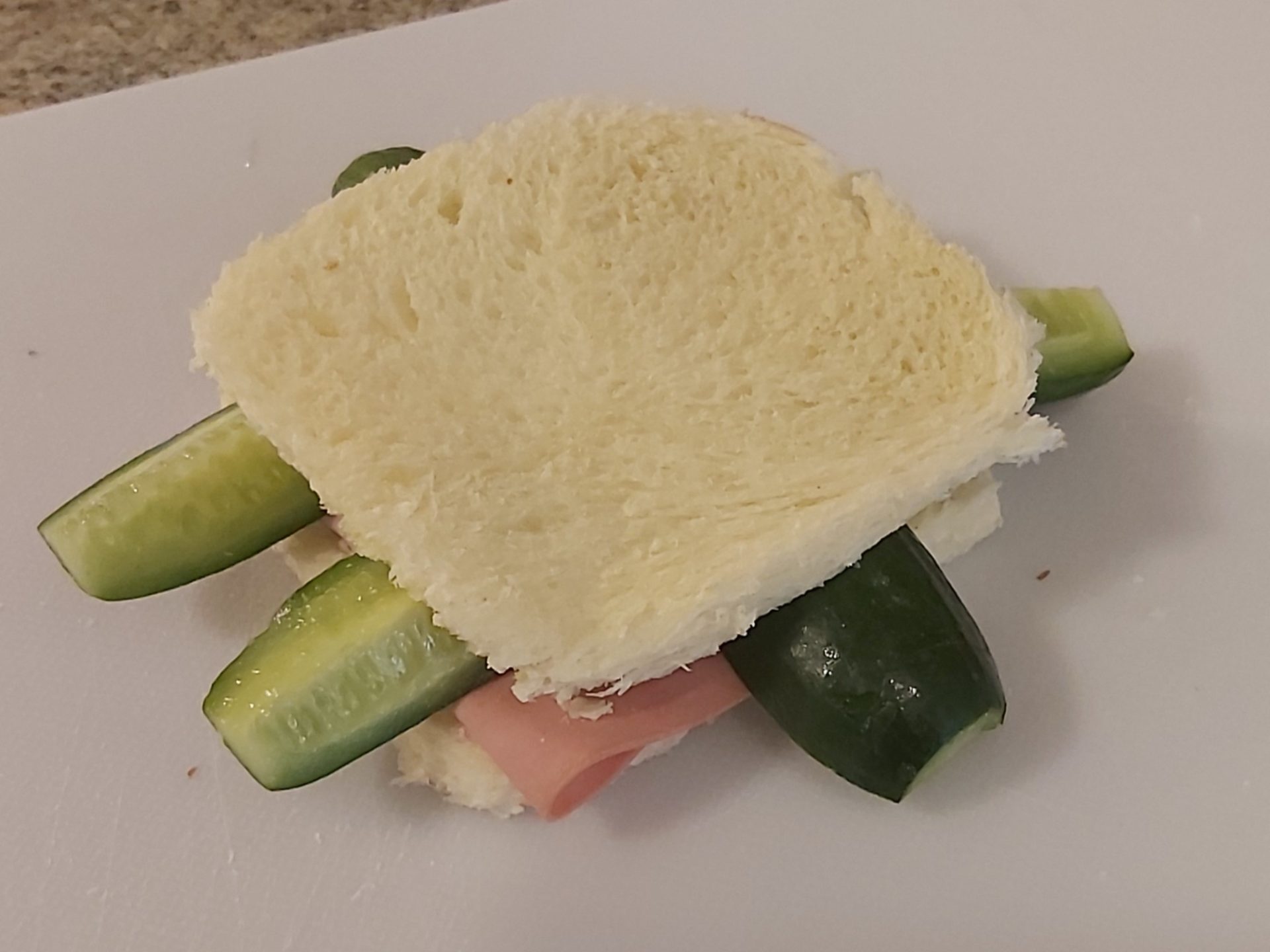 Turtle Sandwich - Earth Rangers
