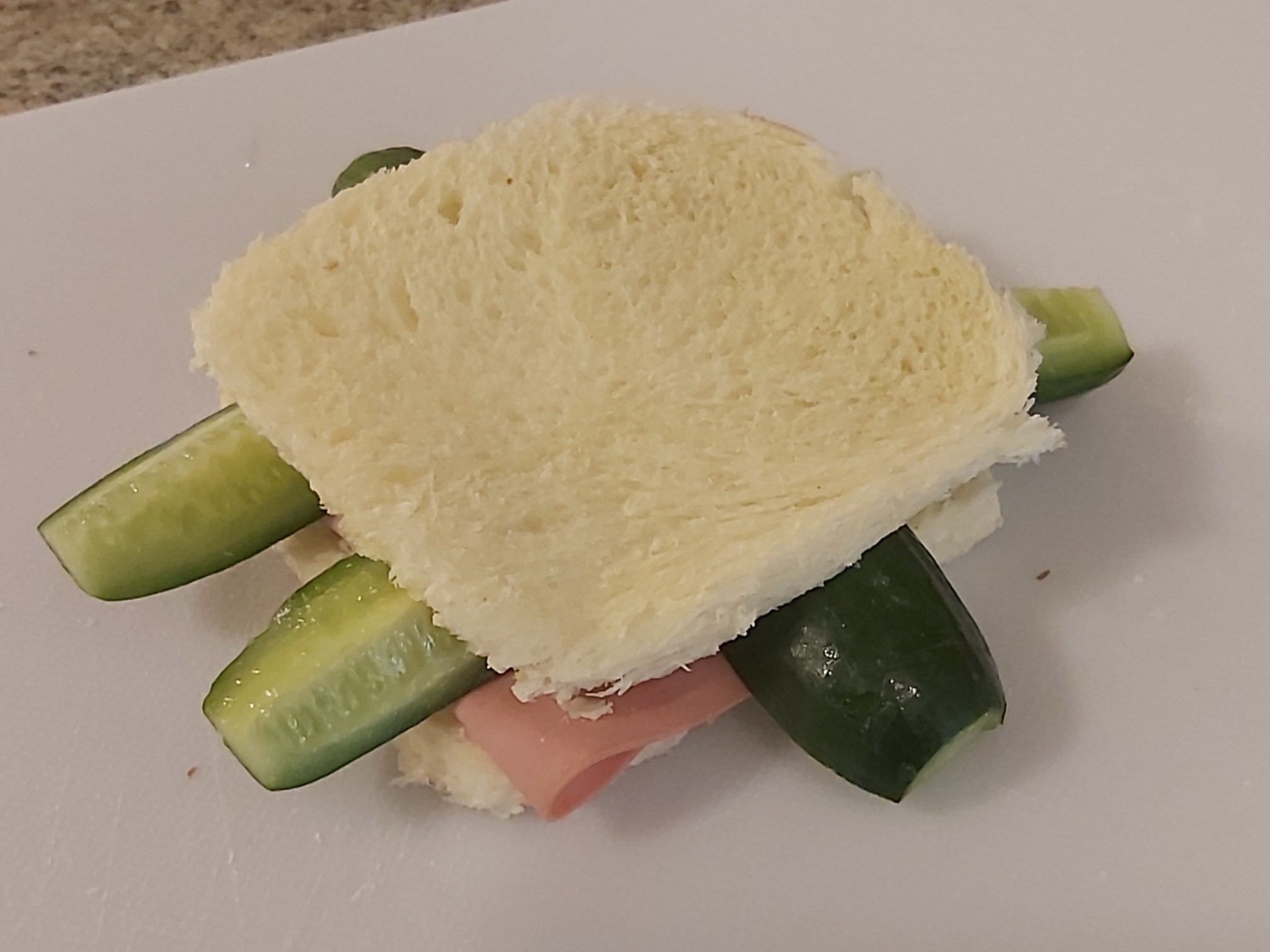 Turtle Sandwich - Earth Rangers