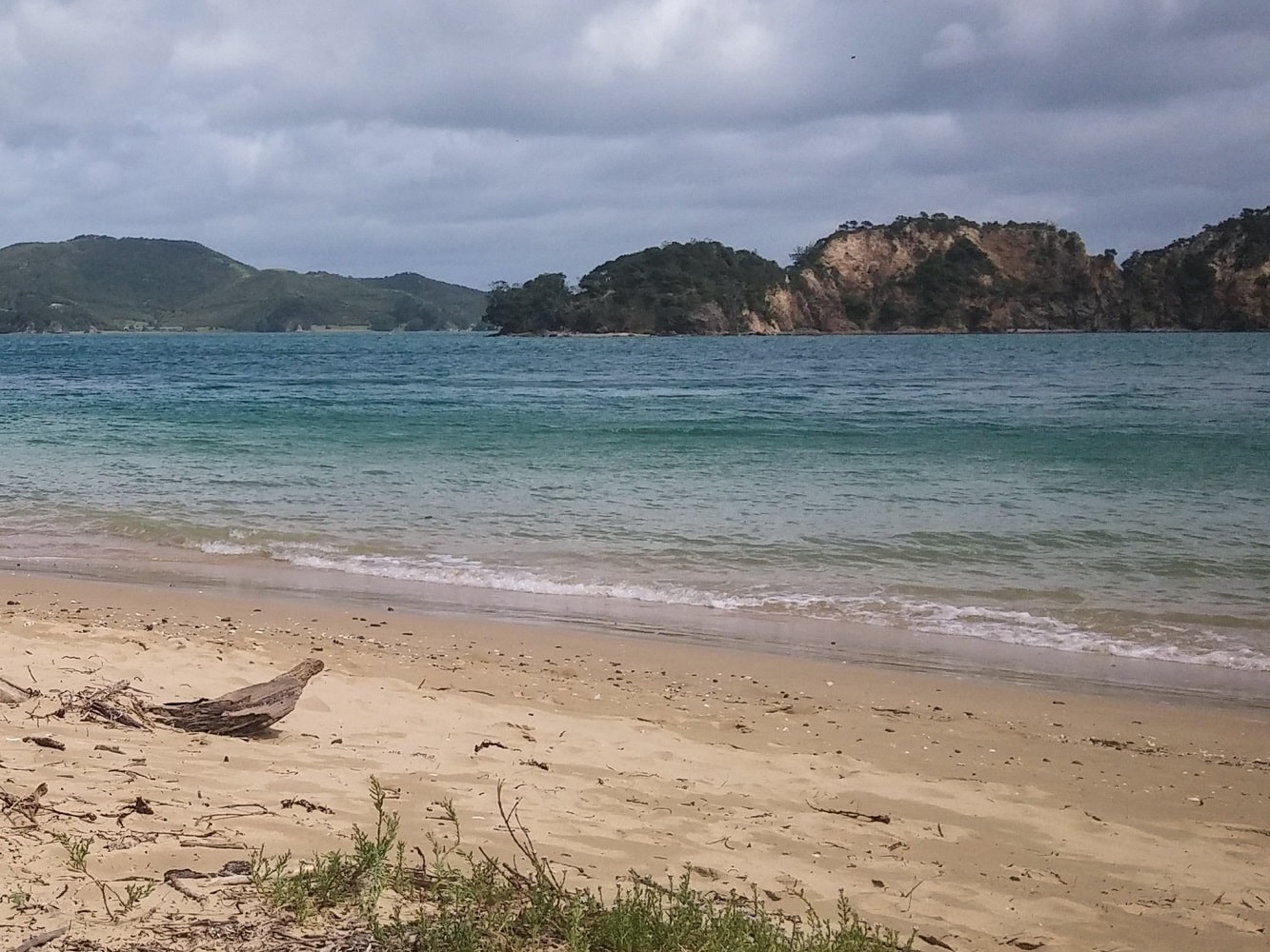 Ultimate Shoreline Showdown - Earth Rangers