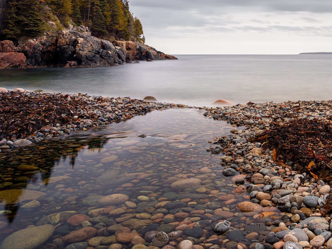 Ultimate Shoreline Showdown - Earth Rangers