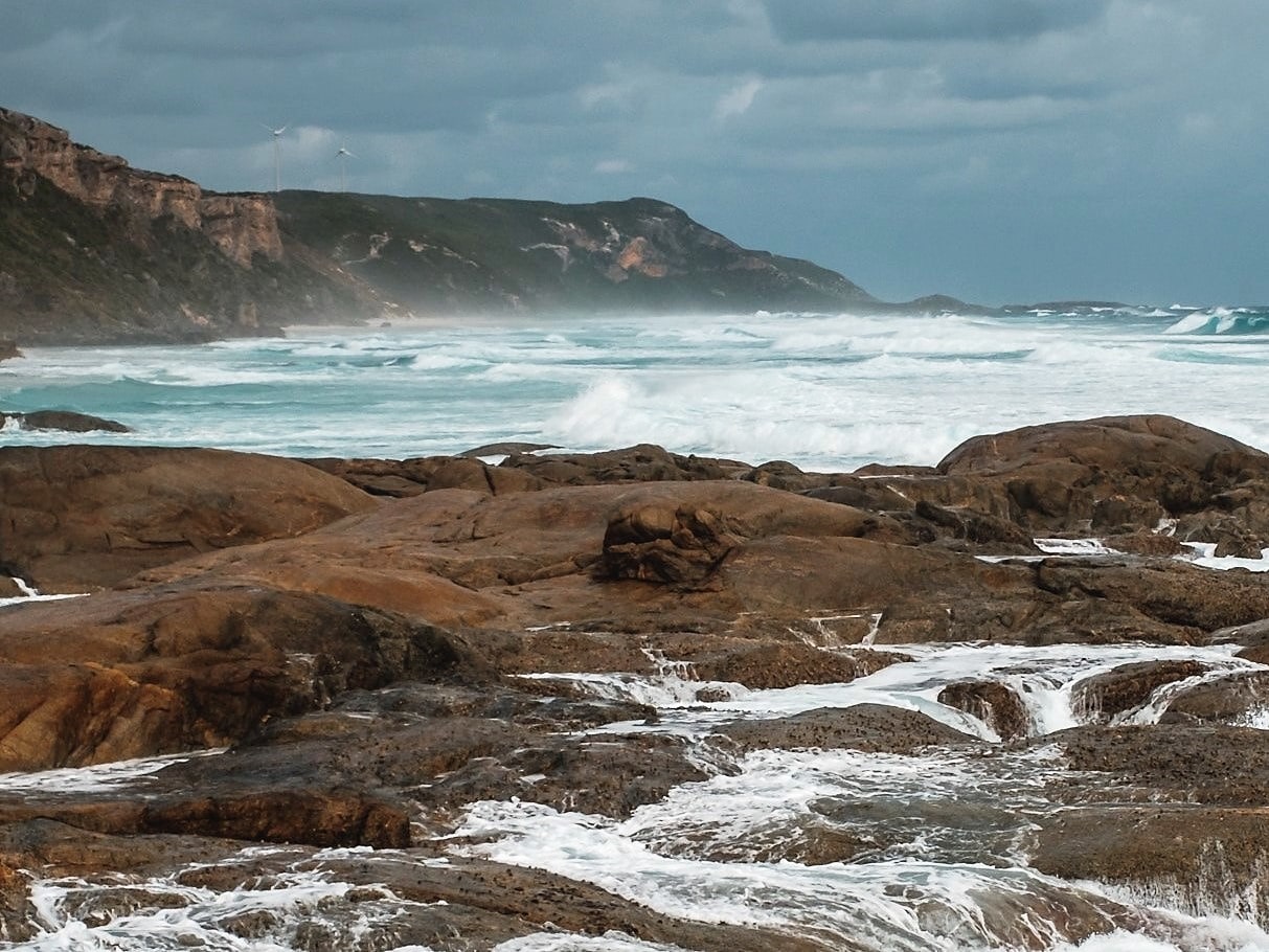 Ultimate Shoreline Showdown - Earth Rangers