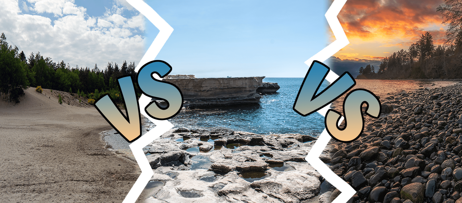 Ultimate Shoreline Showdown - Earth Rangers