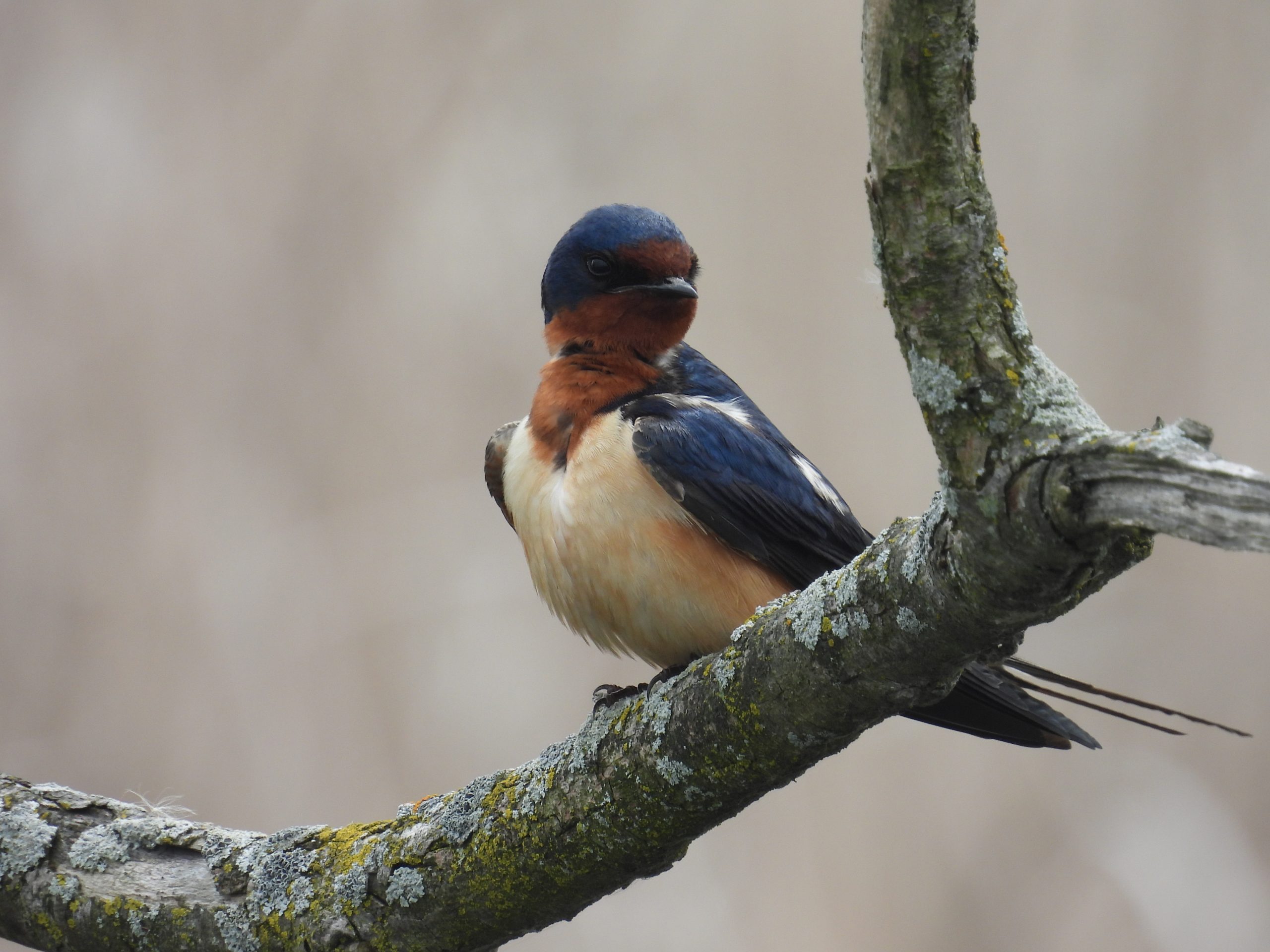 Canon Backyard Biologist Photo Contest – Finalists - Earth Rangers