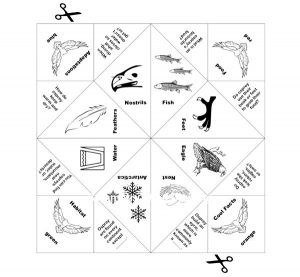 Eco Activity: A nest full of osprey fun! - Earth Rangers