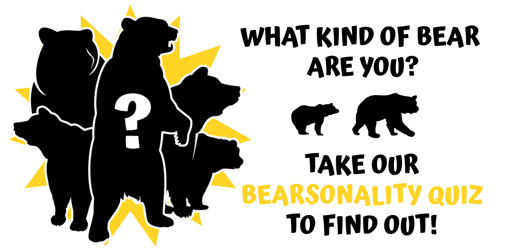Take our Bearsonality Quiz! - Earth Rangers