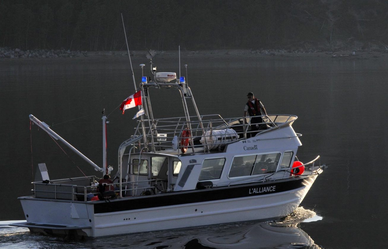 All aboard the beluga express! - Earth Rangers