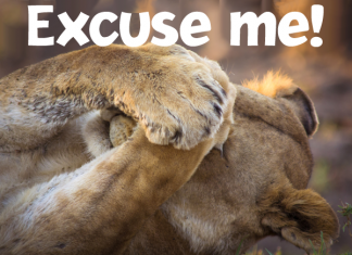 The Power of Poop - Earth Rangers