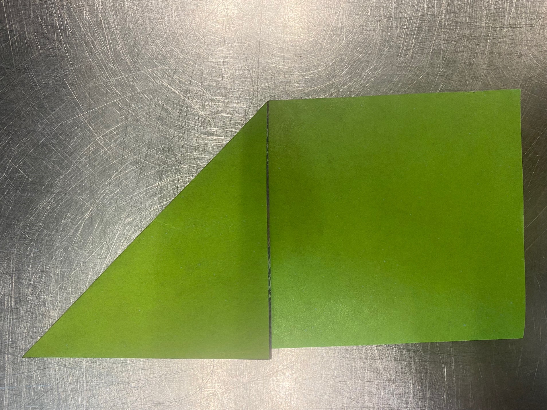 Jumping Frog Origami - Earth Rangers