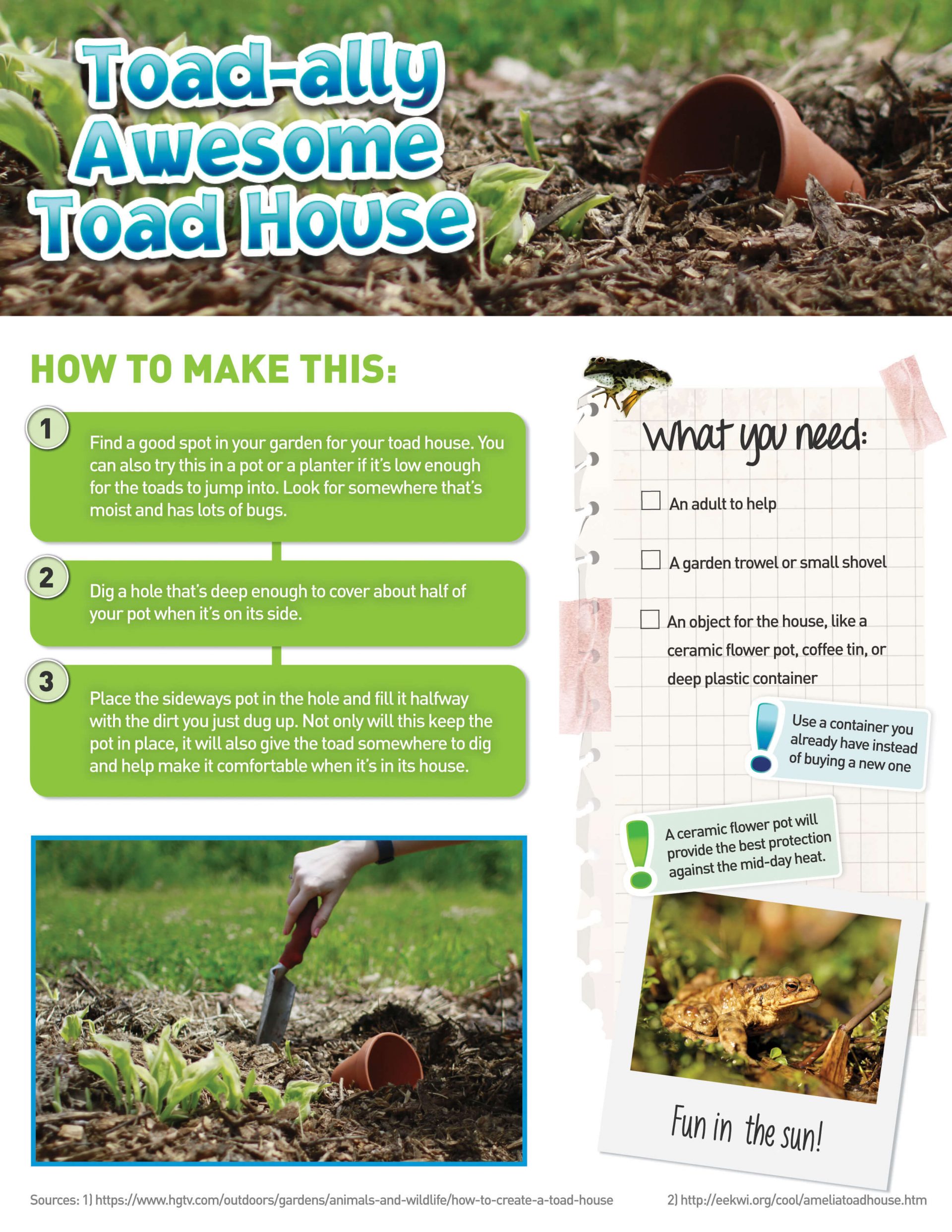 Toad-ally Awesome Toad House - Earth Rangers