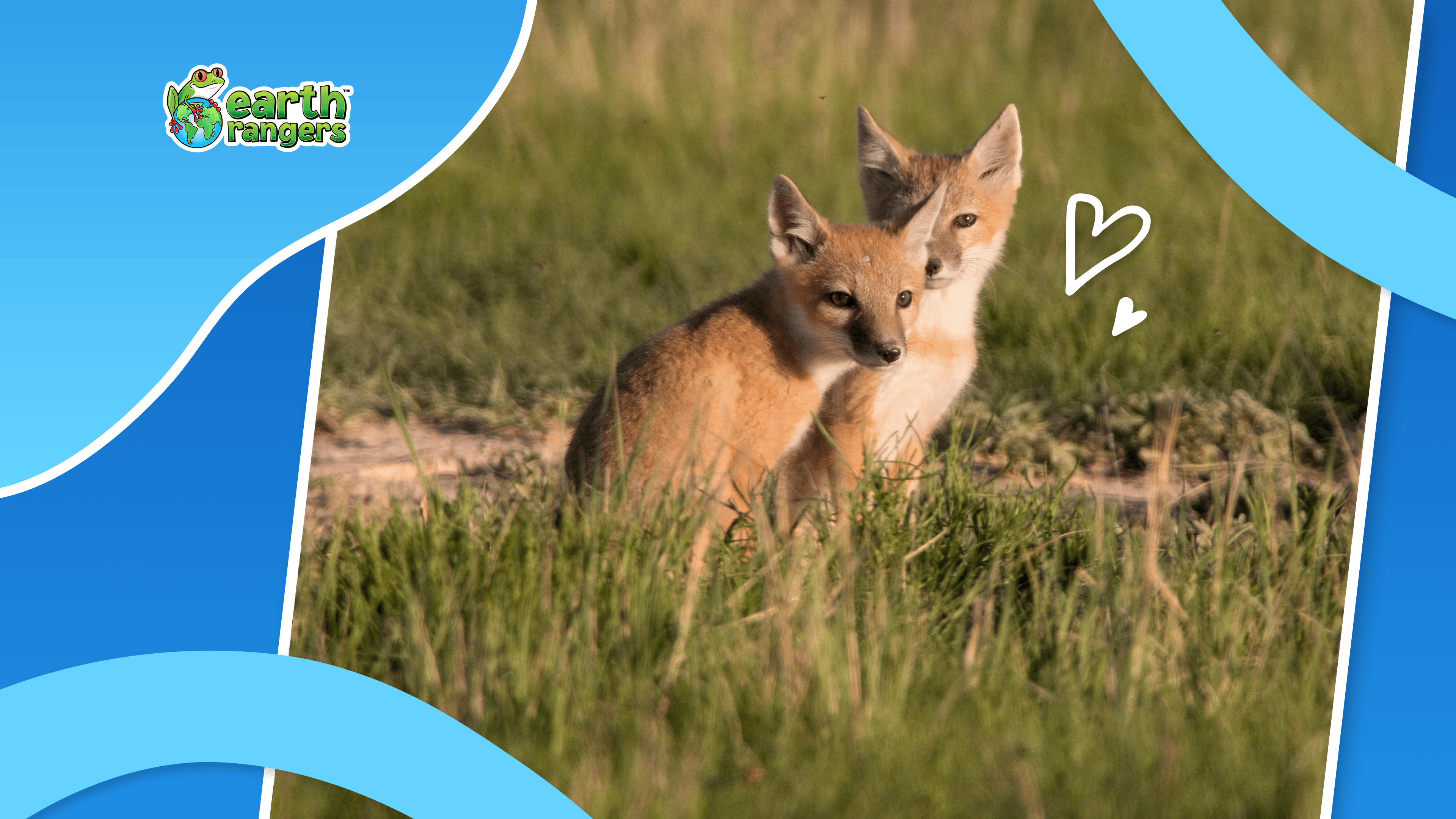 Swift Fox Fundraising Digital Prizes! - Earth Rangers