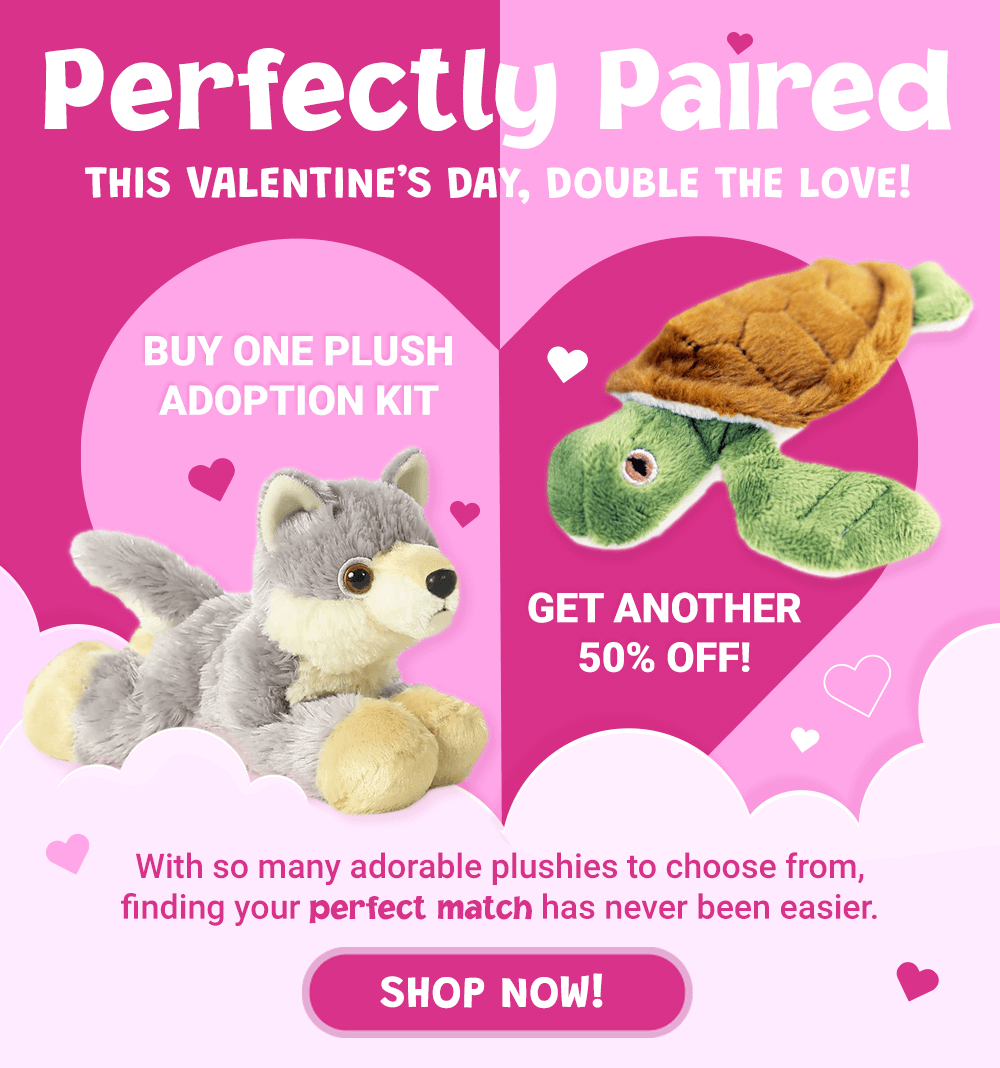 Earth Rangers - Earth Rangers