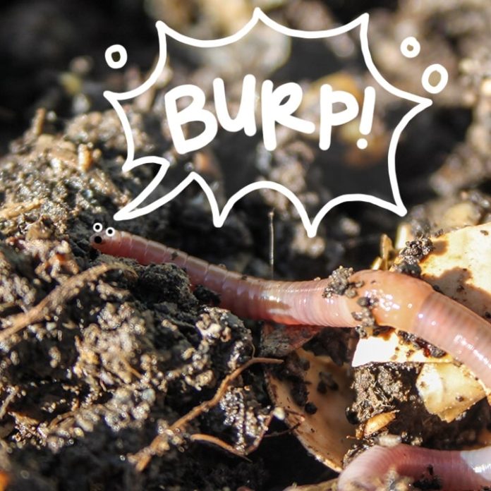 NEW: GROSS OUT Challenge to help the planet has launched! - Earth Rangers